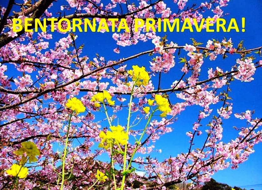 21 Marzo: è arrivata la Primavera! – Comboni2000 – Spiritualità e Missione