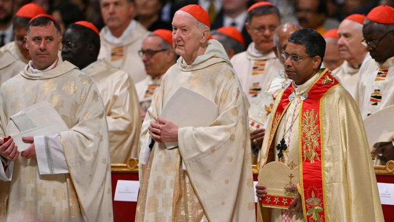 Timothy Radcliffe: “Così abbiamo eletto il nuovo Papa” – Comboni2000 ...